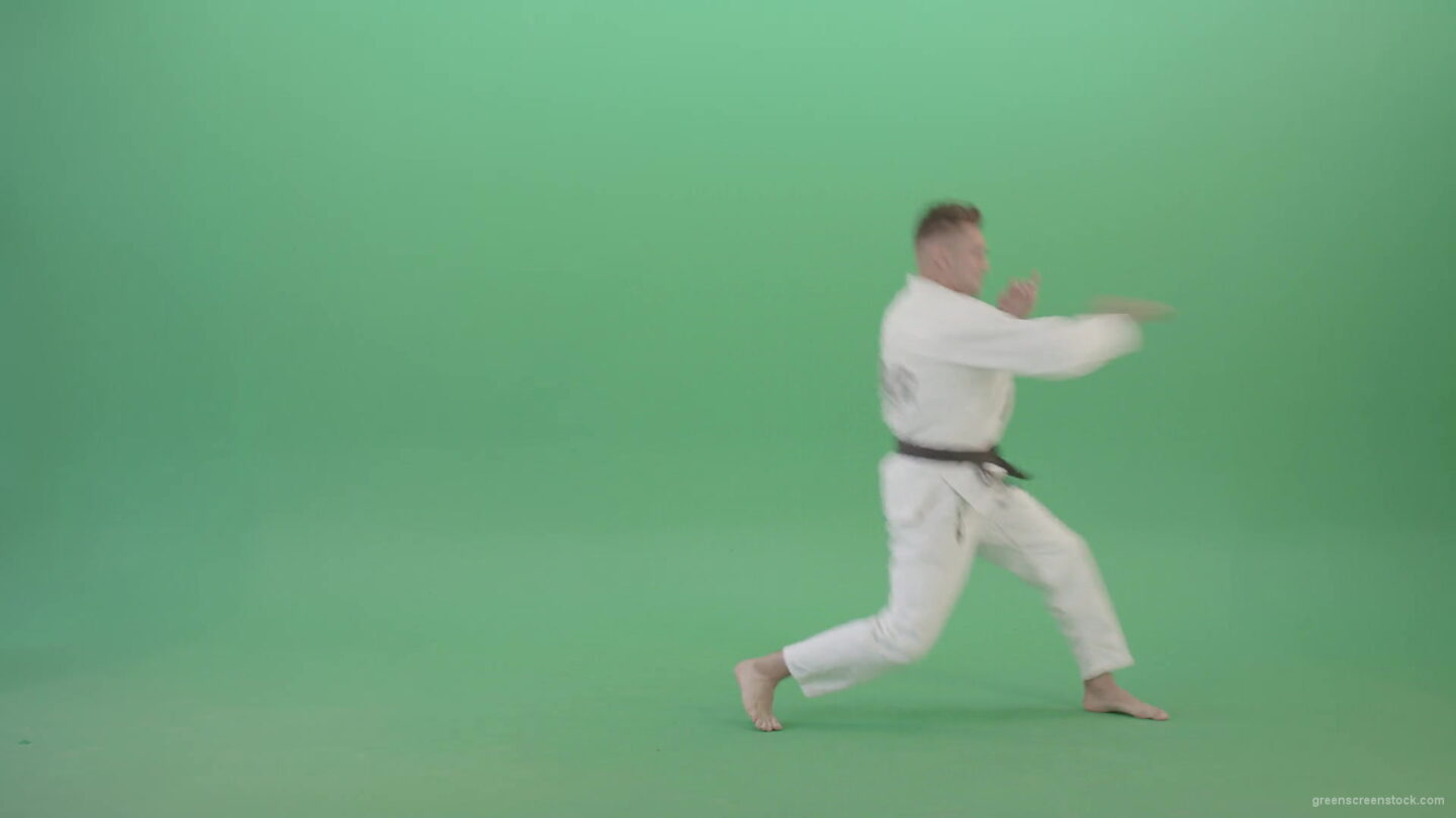 Jujutsu Chroma Key, Video Footage, Clips, Backgrounds 👽 — Green Screen ...